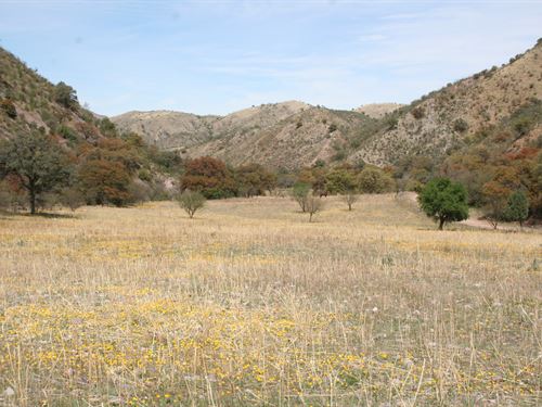 Mexico Farms for Sale, Farmland for Sale : FARMFLIP