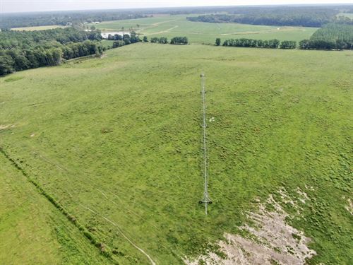Georgia Cattle Farms for Sale - FARMFLIP