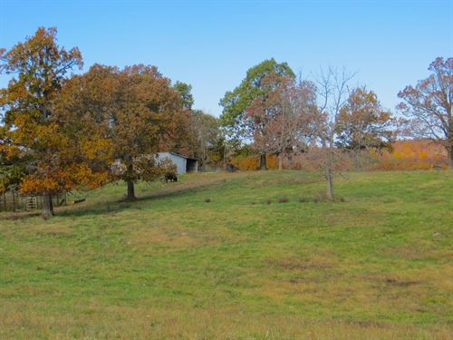 Arkansas Cattle Farms for Sale, Cattle Farmland for Sale : FARMFLIP