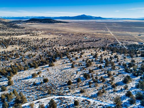 Termo California Farms for Sale : FARMFLIP