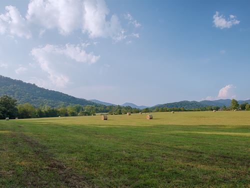 Faber Virginia Farms for Sale : FARMFLIP