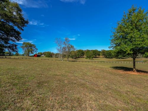 Georgia Cattle Farms for Sale : Page 2 of 5 : FARMFLIP