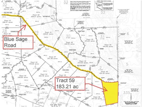 Terrell County Texas Hunting Farms for Sale : FARMFLIP