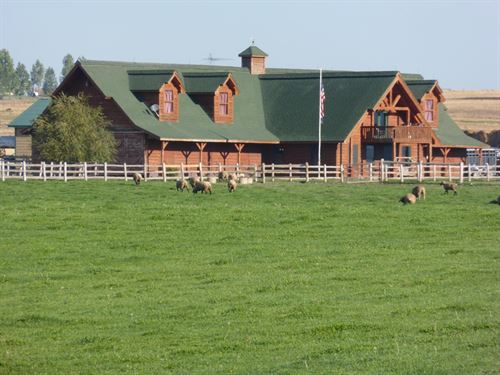 Montana Sheep Farms for Sale : FARMFLIP