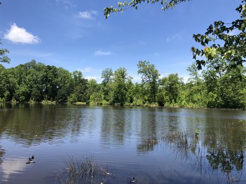 Georgia Pond Farms for Sale, Pond Farmland for Sale : FARMFLIP