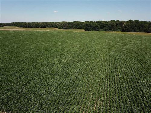 row Crop Farms for Sale : FARMFLIP