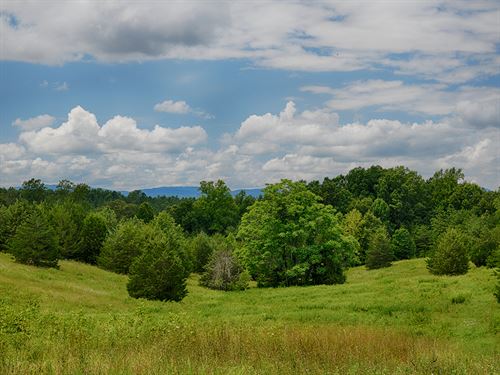 Scottsville Virginia Farms for Sale : FARMFLIP