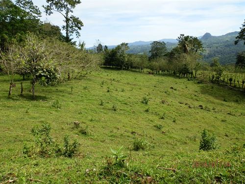 Costa Rica Farms for Sale