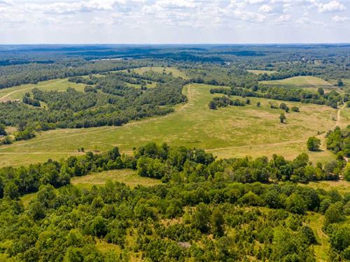 Arkansas Cattle Farms for Sale, Cattle Farmland for Sale : FARMFLIP