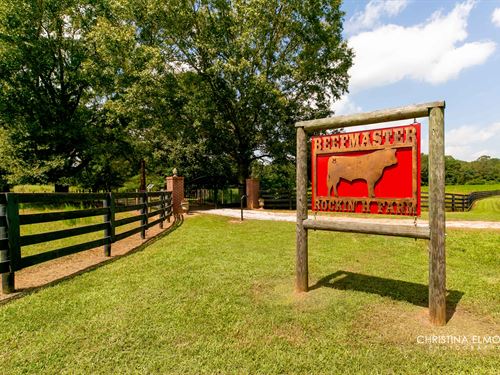 Georgia Cattle Farms for Sale, Cattle Farmland for Sale : FARMFLIP