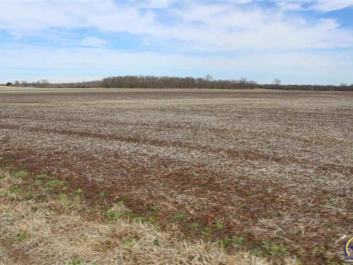 Walnut Tree Farms for Sale : FARMFLIP