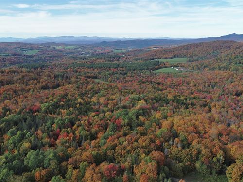 Vermont Maple Tree Farms for Sale : FARMFLIP