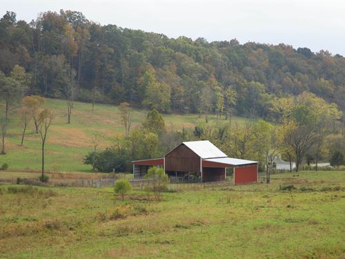Tennessee Cattle Farms for Sale, Cattle Farmland for Sale : FARMFLIP