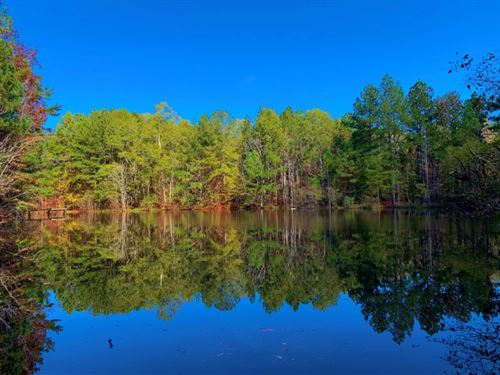 Georgia Pond Farms for Sale, Pond Farmland for Sale : FARMFLIP