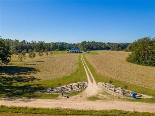 Georgia Cattle Farms for Sale - FARMFLIP