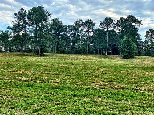 Georgia Cattle Farms for Sale : Page 2 of 5 : FARMFLIP