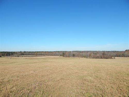 Georgia Cattle Farms for Sale, Cattle Farmland for Sale : FARMFLIP