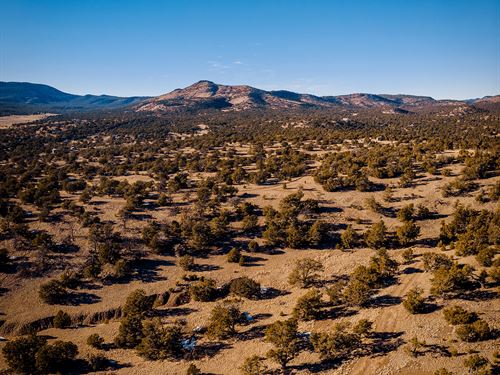 Catron County New Mexico Hiking Farms for Sale : FARMFLIP