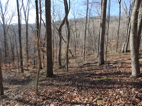 Tennessee Farms for Sale by Owner (FSBO) : Buy Farms for Sale, Find ...