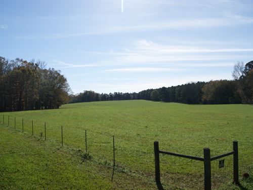 Georgia Cattle Farms for Sale, Cattle Farmland for Sale : FARMFLIP