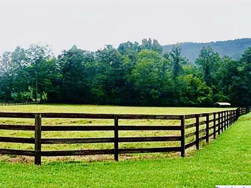 Gallant al - bingercv