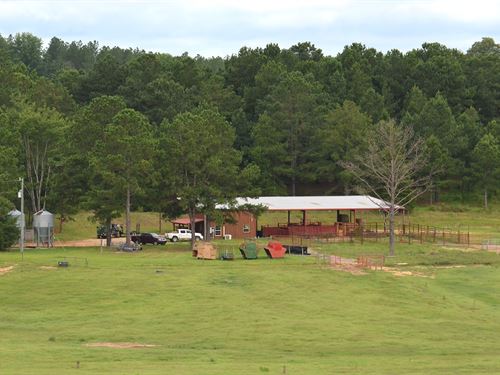 Georgia Cattle Farms for Sale, Cattle Farmland for Sale : FARMFLIP