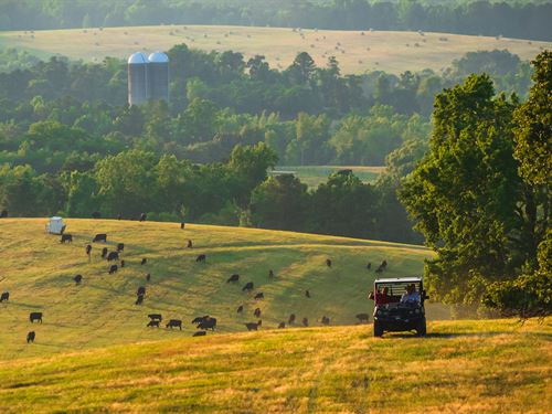 Georgia Cattle Farms for Sale, Cattle Farmland for Sale : FARMFLIP