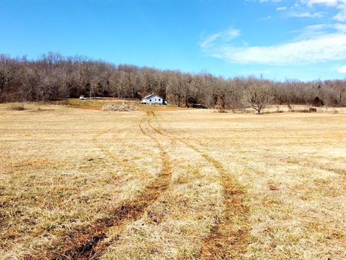 Arkansas Farms for Sale, Farmland for Sale : Page 4 of 47 : FARMFLIP