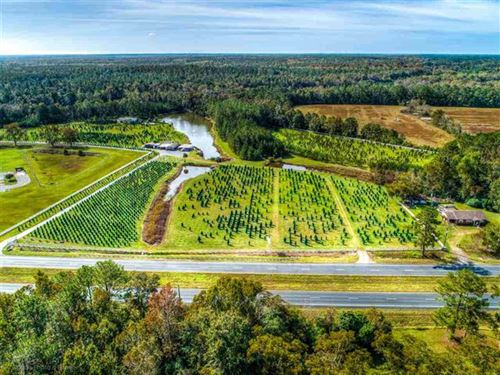 Florida Tree Farm Farms for Sale : FARMFLIP