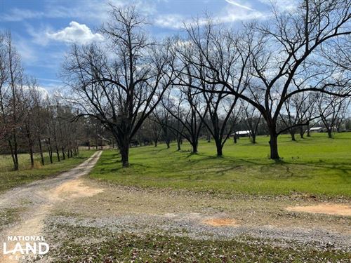 Alabama Pecan Tree Farms for Sale : FARMFLIP