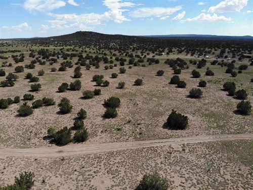 Arizona Farms for Sale, Farmland for Sale : FARMFLIP