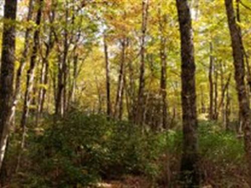 Virginia Farms for Sale - farmflip