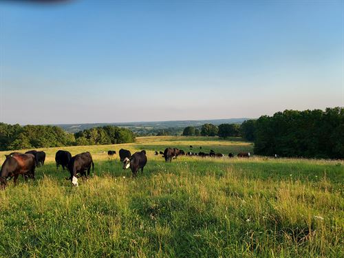 Missouri Farms for Sale : Buy Farms for Sale, Find Agricultural & Farmland