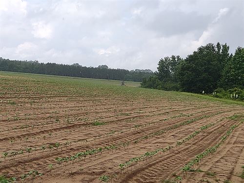 Alabama Horse Farms for Sale : FARMFLIP