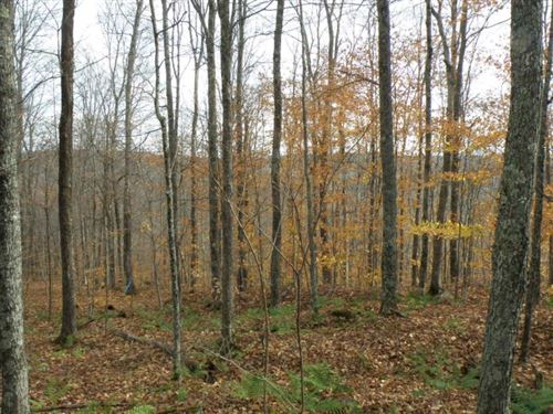 Vermont Maple Tree Farms for Sale : Buy Farms for Sale, Find ...