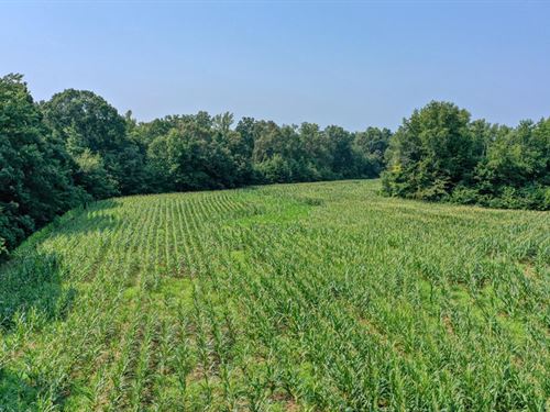 Tennessee Farms for Sale : Page 5 of 30 : FARMFLIP