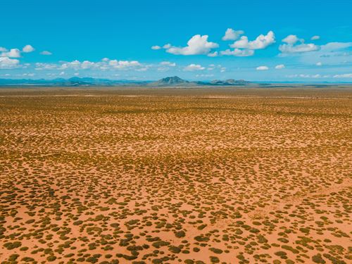 New Mexico Farms for Sale : Page 4 of 12 - farmflip