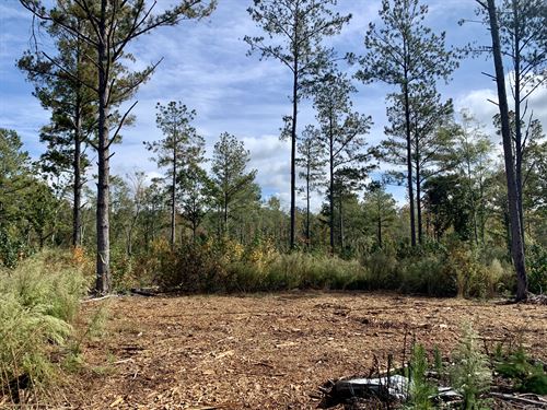 Georgia Farms for Sale : Page 31 of 70 : FARMFLIP