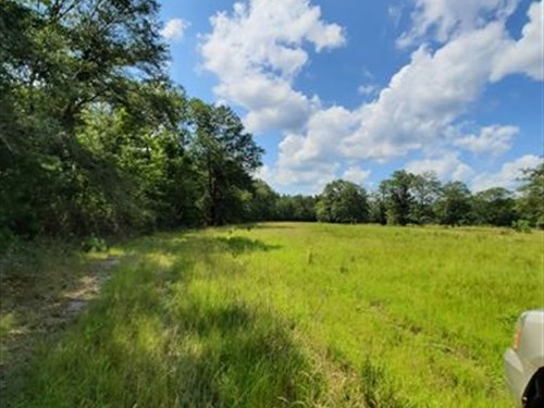 Wilkinson County Georgia Farms for Sale - farmflip