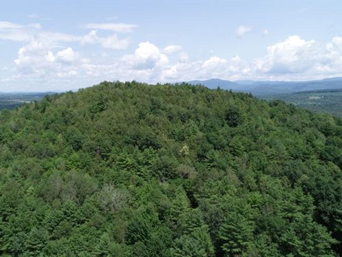 Vermont Maple Tree Farms for Sale : FARMFLIP