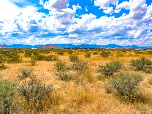 Arizona Farms for Sale : Page 8 of 13 : FARMFLIP