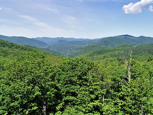 Vermont Maple Tree Farms for Sale : FARMFLIP