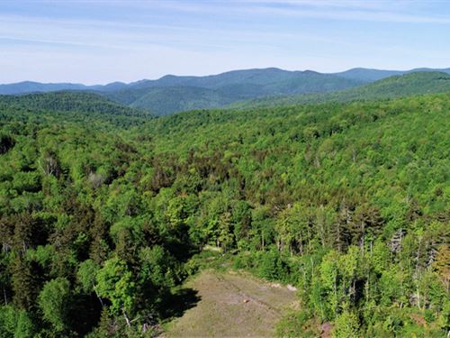 Vermont Maple Tree Farms for Sale - farmflip