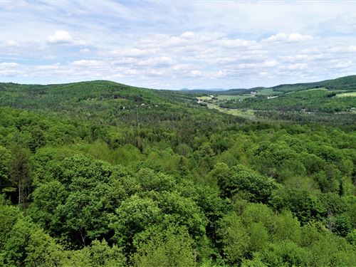 Vermont Maple Tree Farms for Sale : FARMFLIP