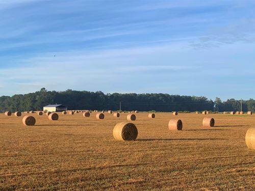 Florida Farms for Sale : Page 24 of 30 : FARMFLIP