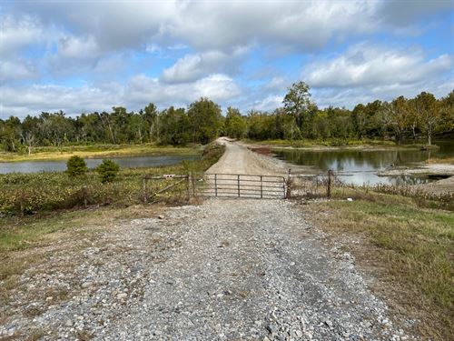 Palmetto Louisiana Farms for Sale - FARMFLIP