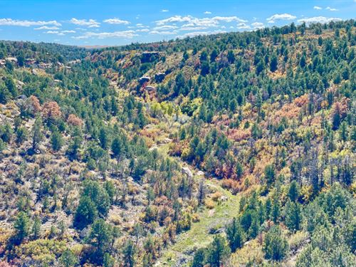 Colorado Farms for Sale : Page 5 of 53 - FARMFLIP