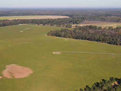 Georgia Plantation Farms for Sale : FARMFLIP