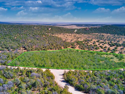 New Mexico Farms for Sale : Page 7 of 8 : FARMFLIP