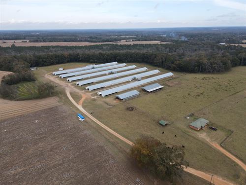 Alabama Poultry Farms for Sale : FARMFLIP